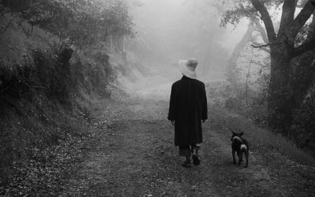 Historical or contemporary photographers, we represent in our archives ...